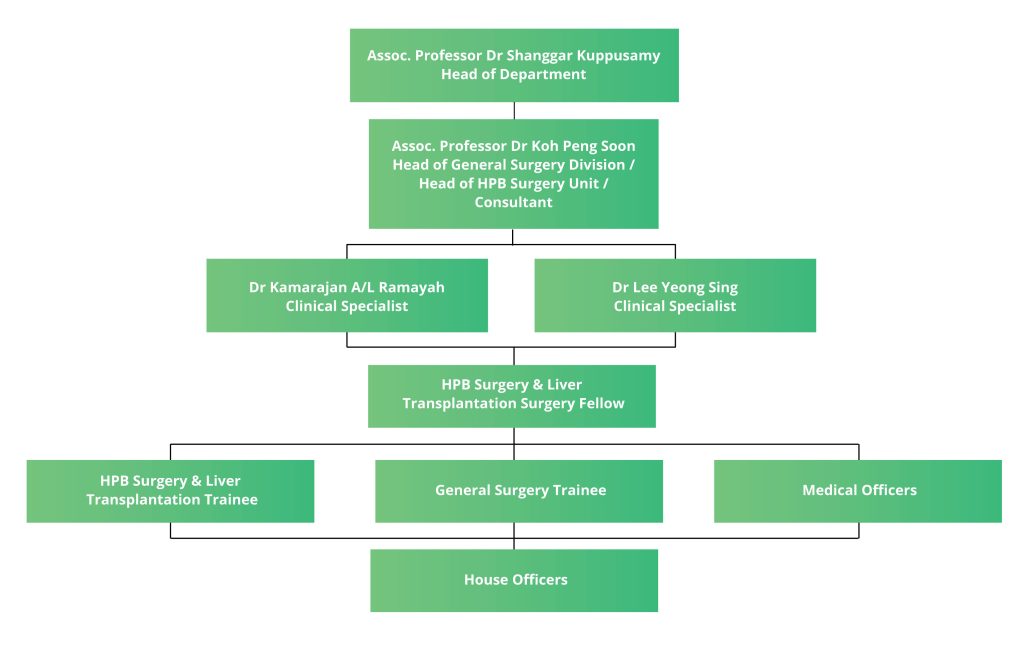 Hepato-Pancreato-Biliary (HPB) Surgery and Liver Transplantation ...
