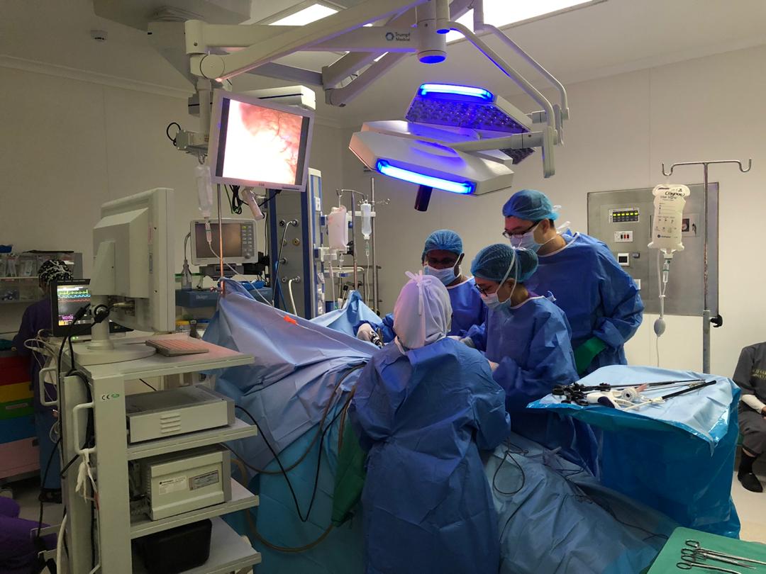 Hepato-Pancreato-Biliary (HPB) Surgery and Liver Transplantation ...